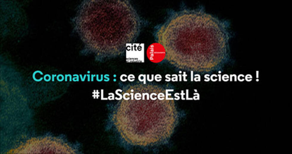 Coronavirus : ce que sait la science