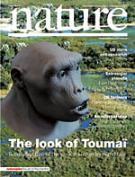 Toumaï : suite et fin de la controverse ? - Science Actualités.fr