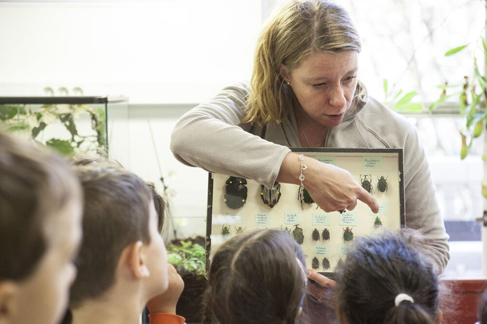 Animations scientifiques cycle 1 - Animations scientifiques - Catalogue ...