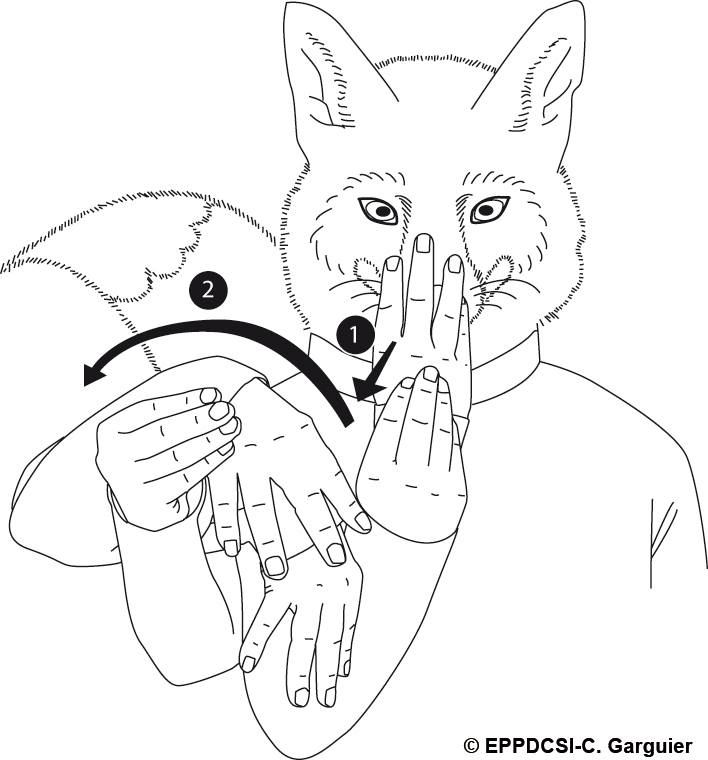 Animaux | Cité des sciences et de l'industrie